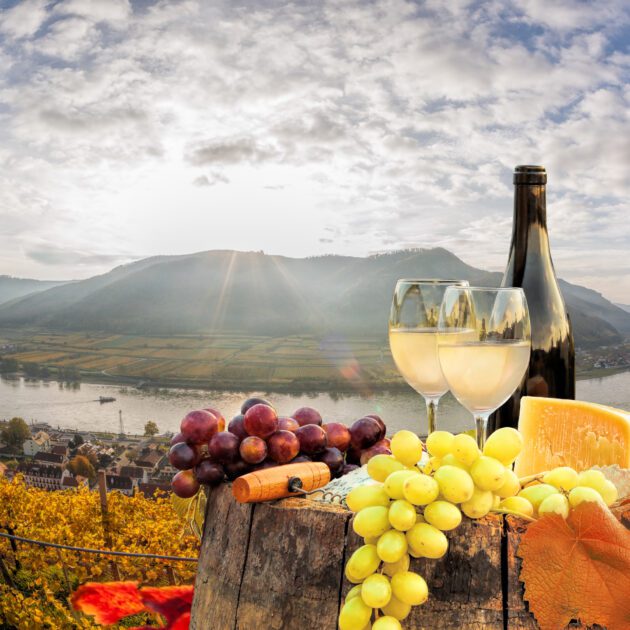 Forside - FINO Cruise